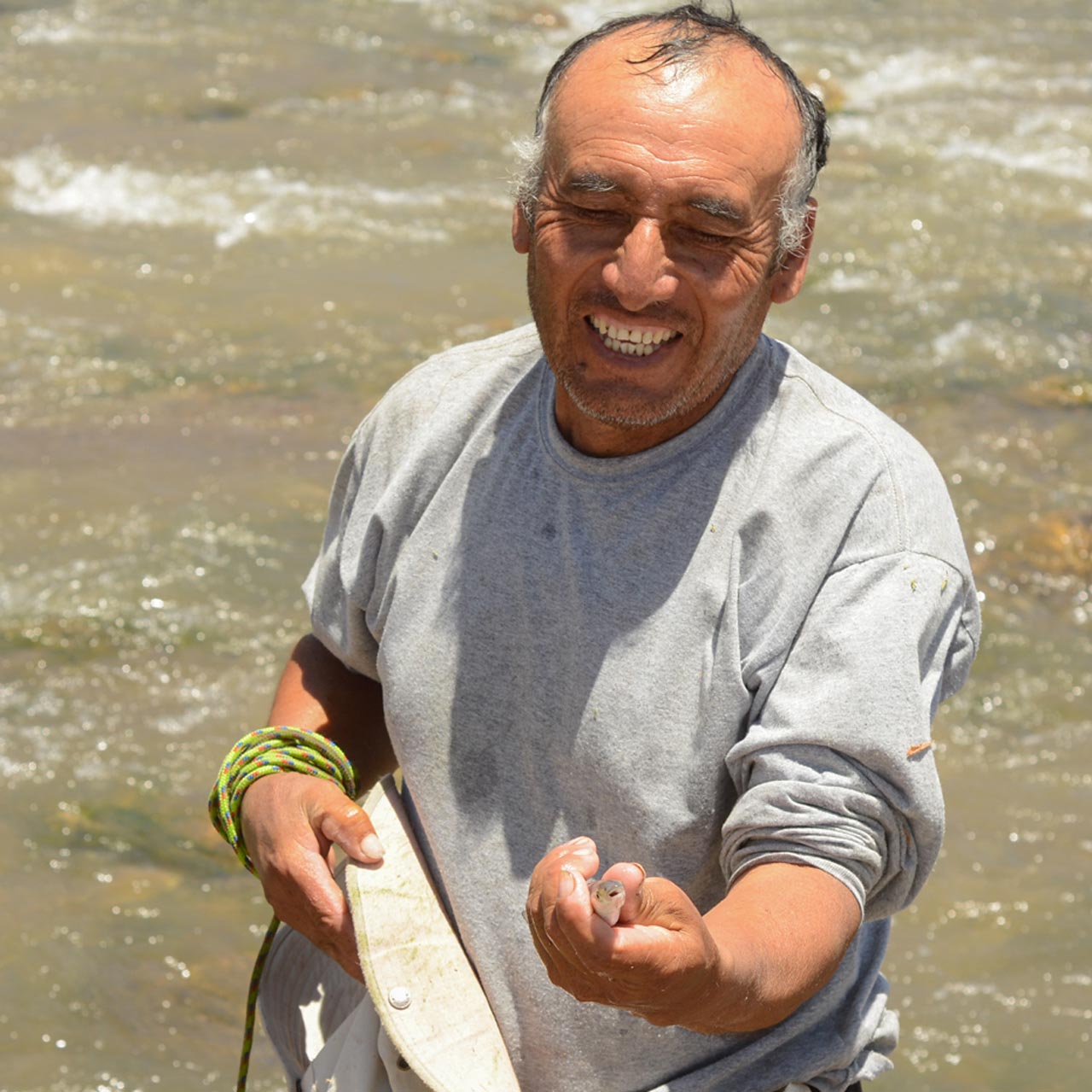 Silverside of the Siguas River: a fish that endures - Seafood MAP